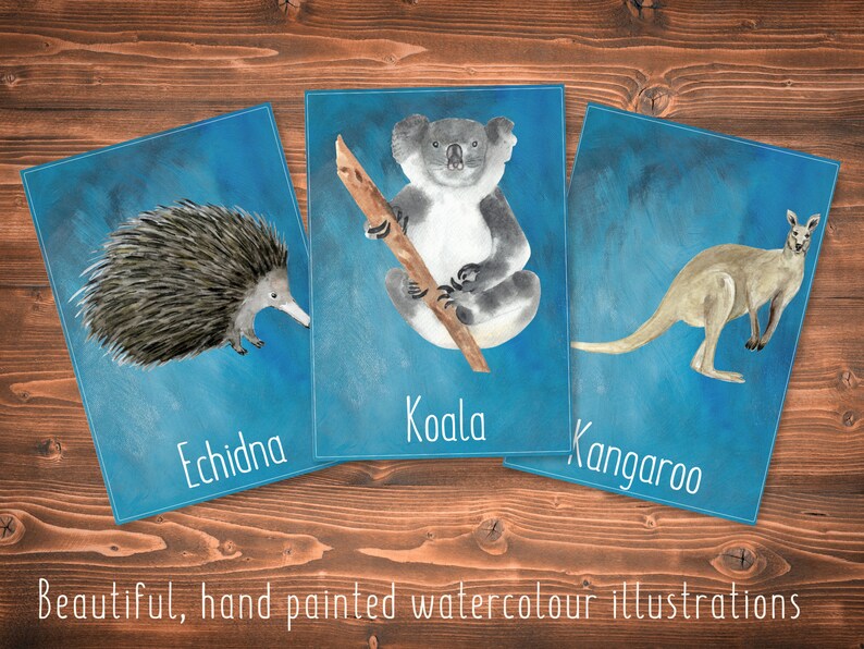 Australian Animal Flashcards // Australia Flash Cards // Printable ...