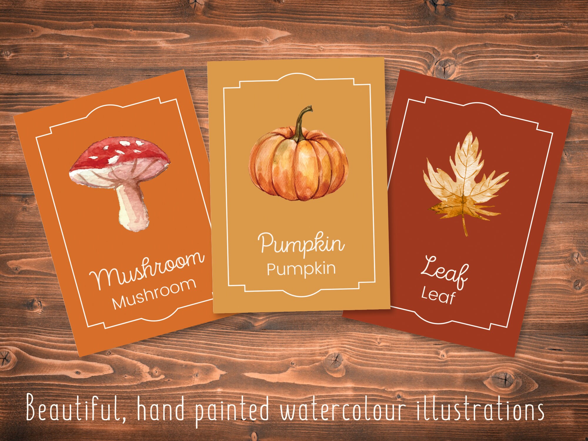 Autumn Flash Cards // Printable // Montessori // Homeschool // - Etsy