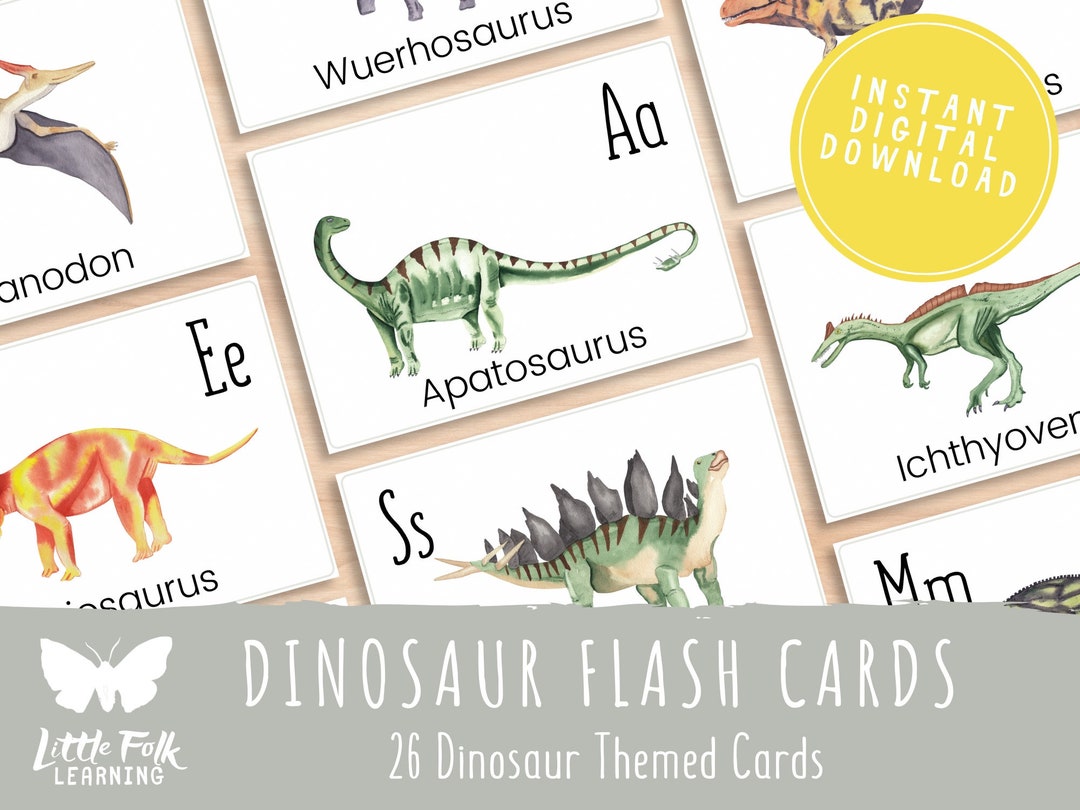 Dinosaur Flash Cards // Printable // Montessori // Homeschool ...