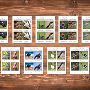 Australian Birds Montessori 3 Part Cards // Preschool Printable ...
