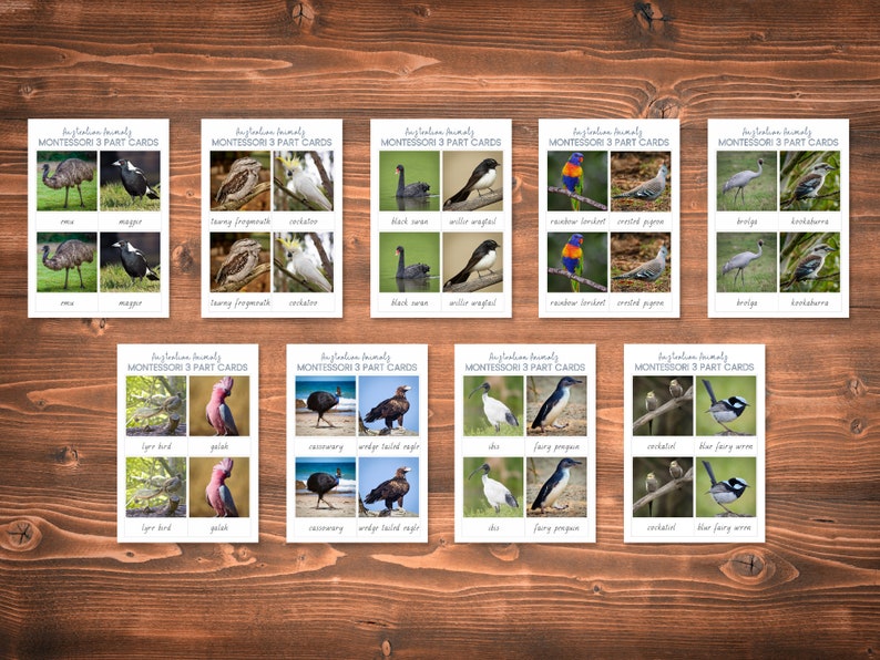 Australian Birds Montessori 3 Part Cards // Preschool Printable ...