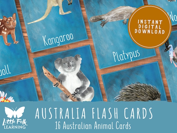 Australian Animal Flashcards // Australia Flash Cards // | Etsy