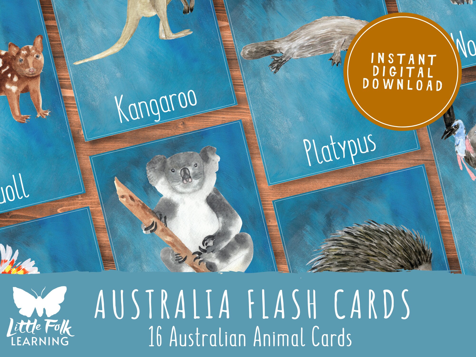 Australian Animal Flashcards // Australia Flash Cards // - Etsy