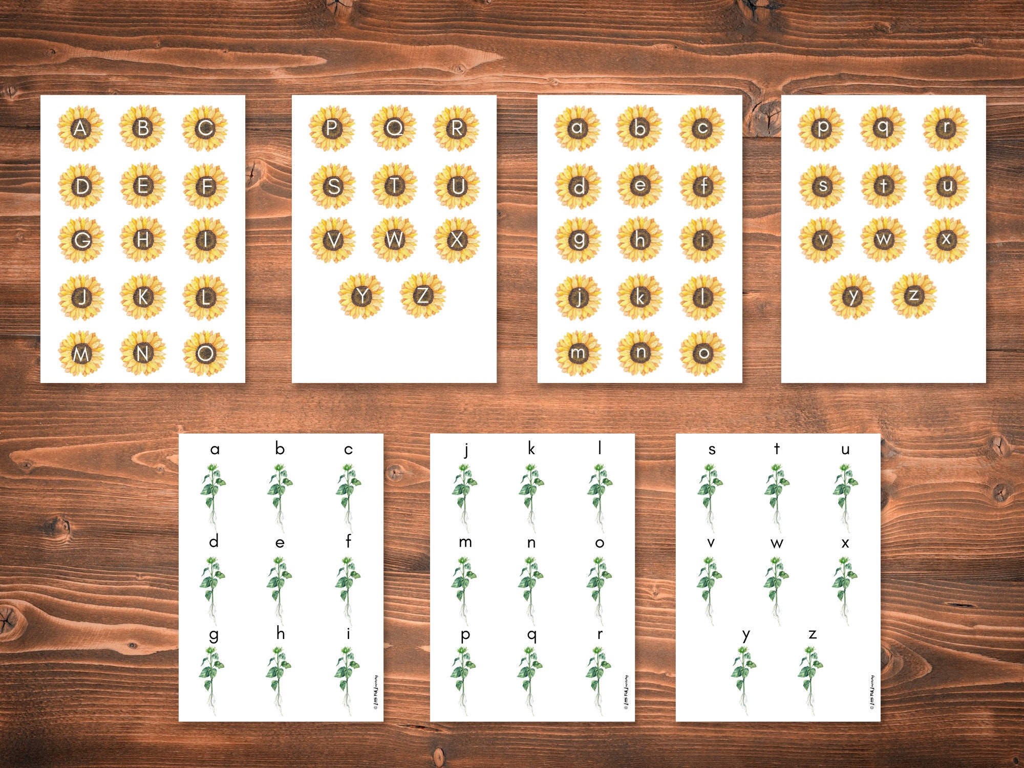 Sunflower Preschool Literacy Collection // Homeschooling // - Etsy