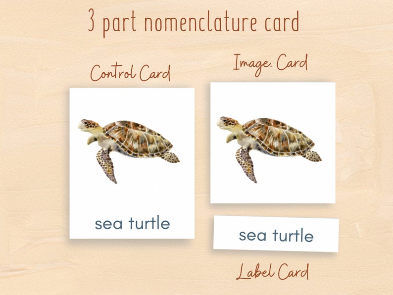 Ocean Montessori 3 Part Cards // Preschool Printable // Preschool ...