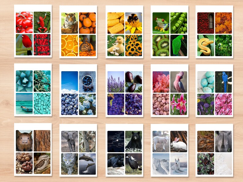 Rainbow Nature Colour Cards // Printable // Montessori // Homeschool ...