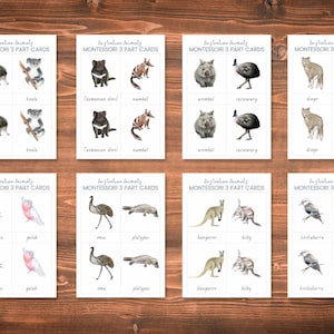 Australia Montessori 3 Part Cards // Preschool Printable // Preschool ...