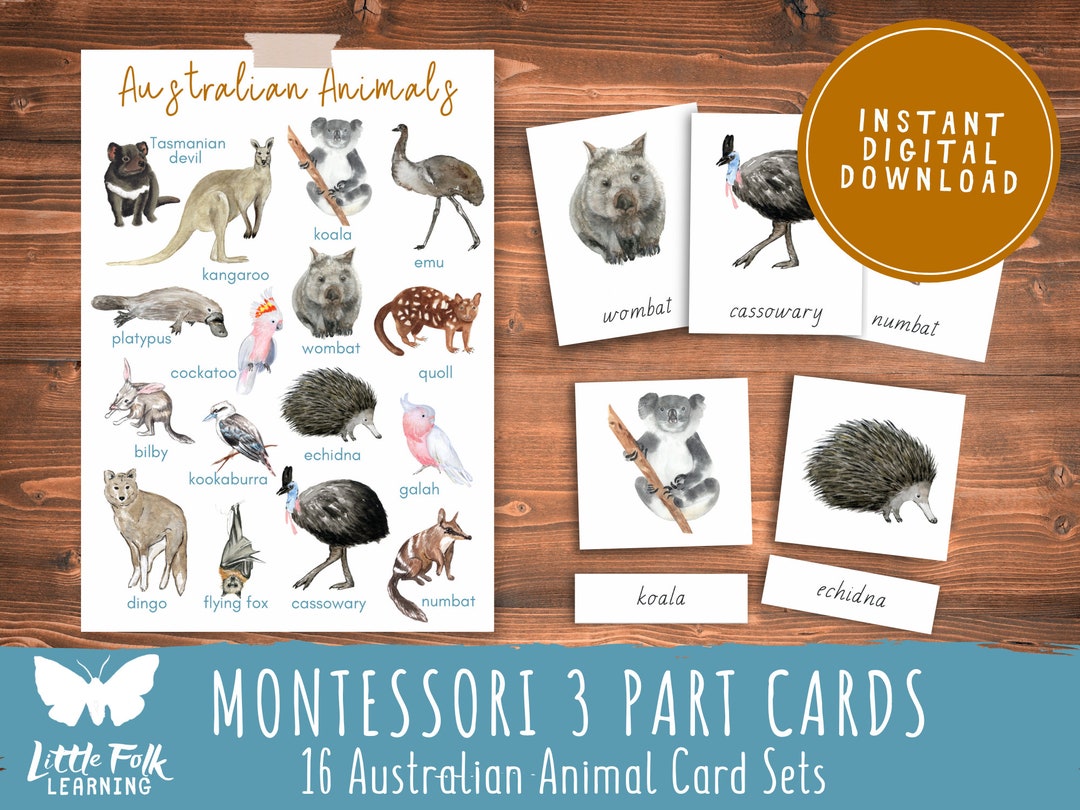 Australia Montessori 3 Part Cards // Preschool Printable // Preschool ...