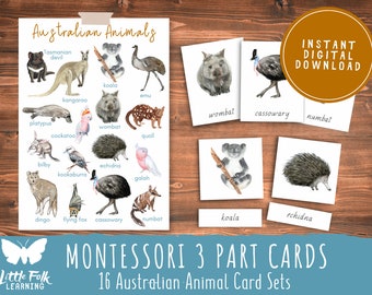 Australian Aboriginal Symbol Montessori 3 Part Cards // Preschool ...