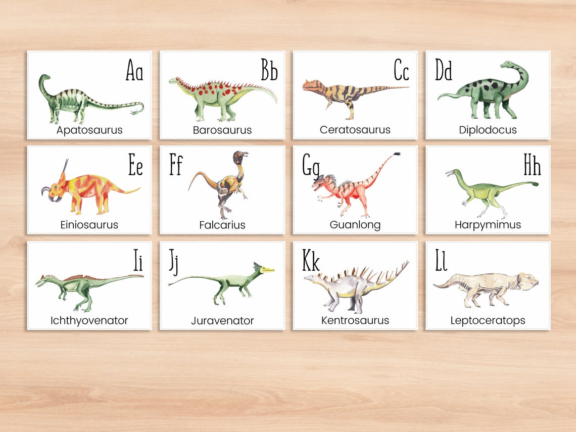 Dinosaur Flash Cards // Printable // Montessori // Homeschool - Etsy