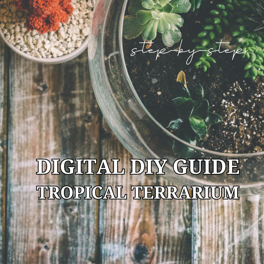 DIY Tropical Terrarium Guide | Downloadable Step-by-step Instructions ...