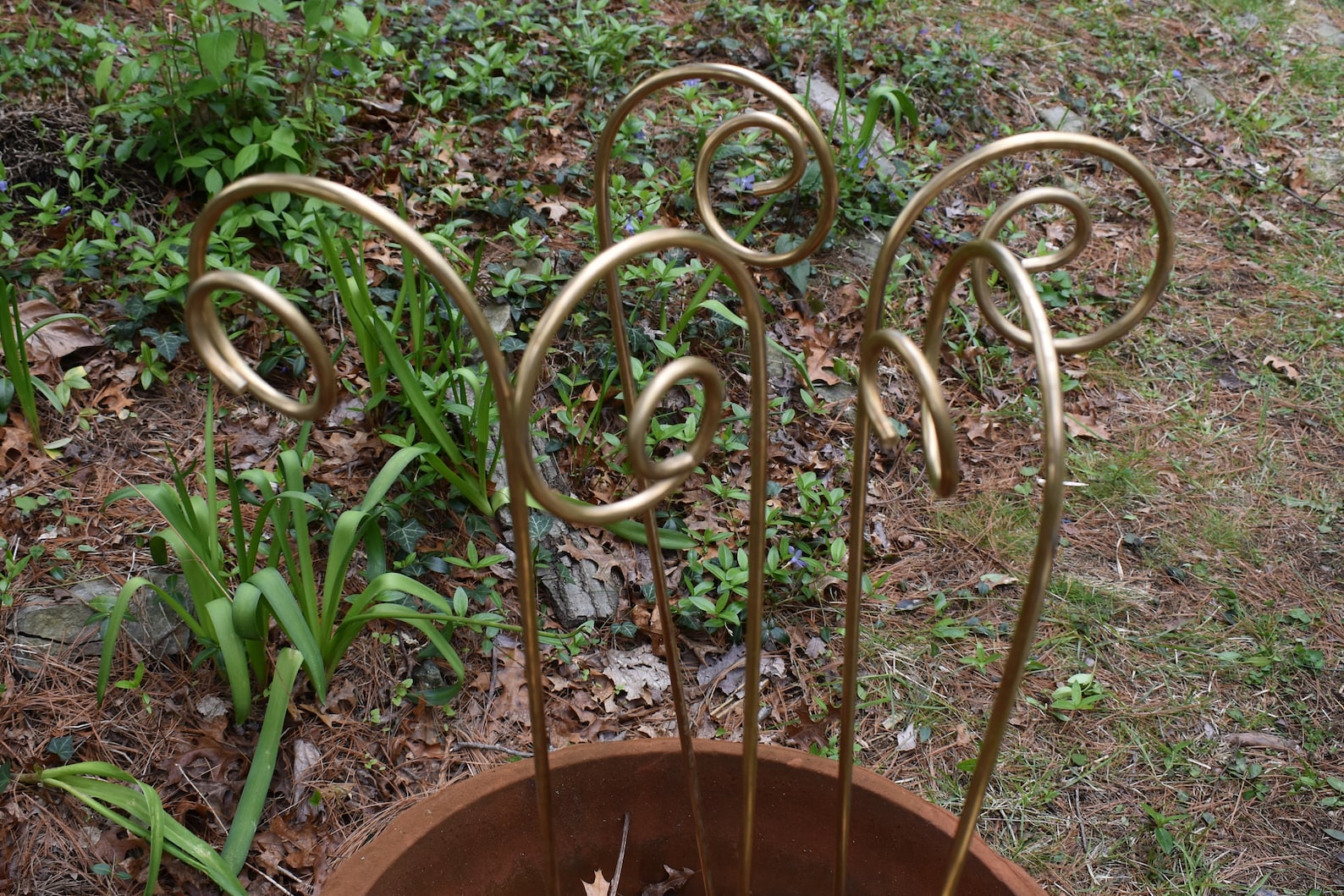 Fiddlehead Garden Stakes | Etsy