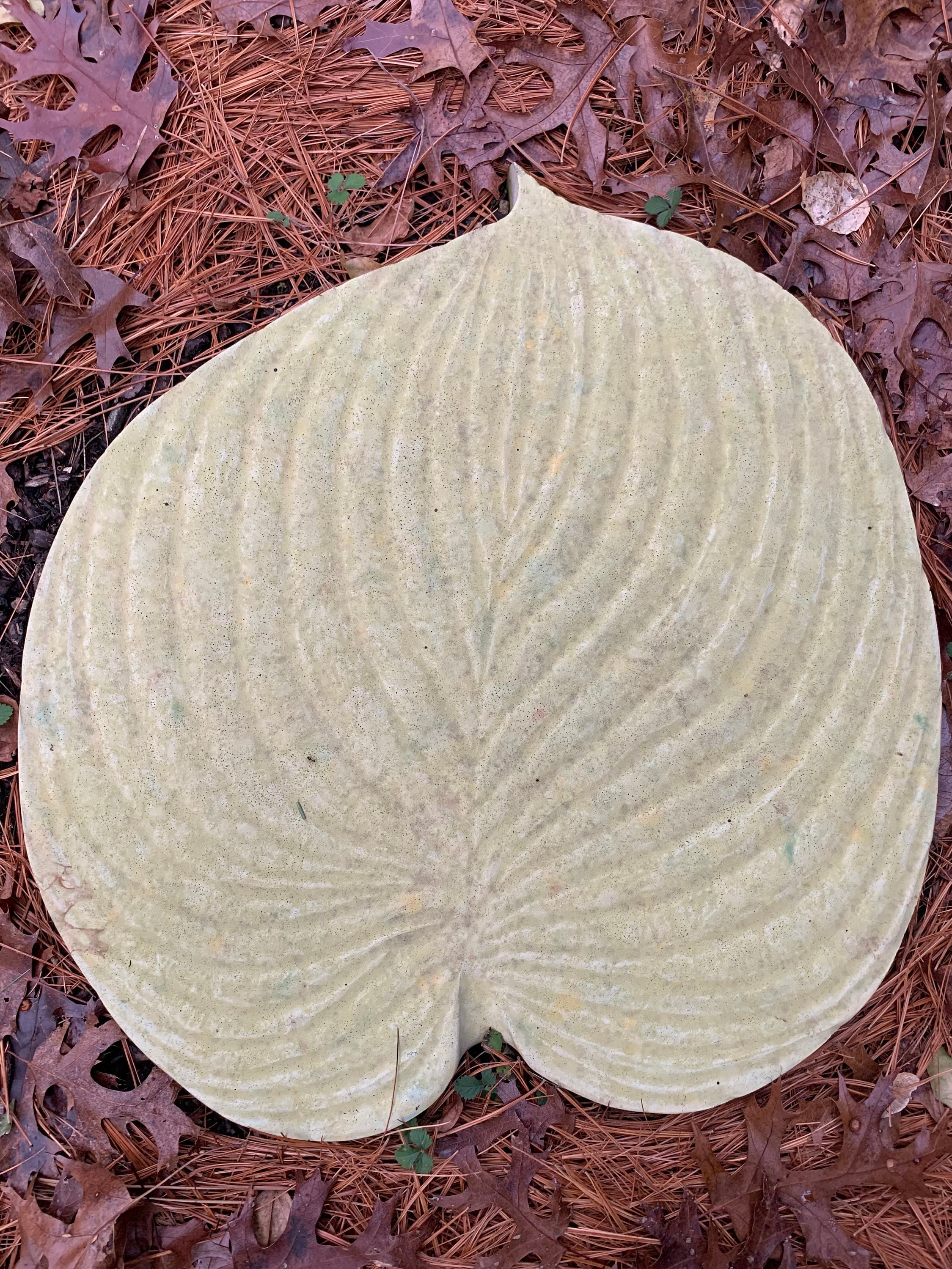 Hosta Leaf Stepping Stone - Etsy