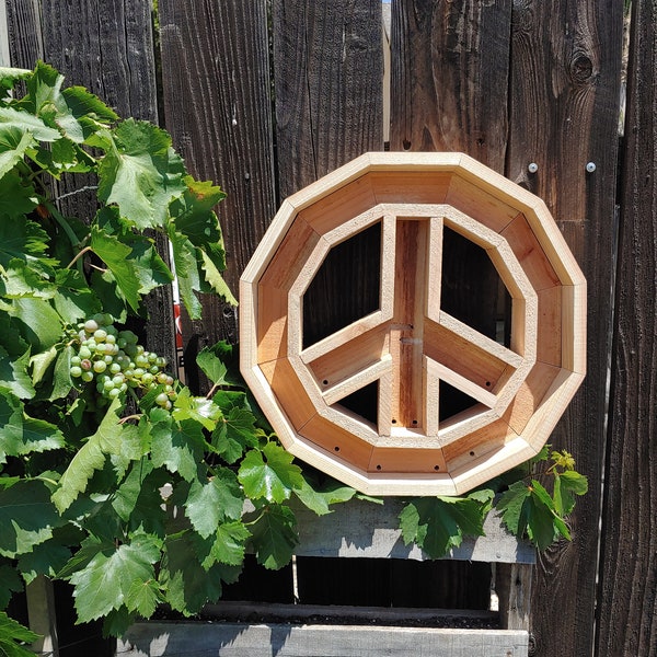 Succulent Wall Planter - Etsy