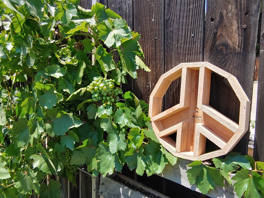 Peace Sign Succulent Planter - Etsy
