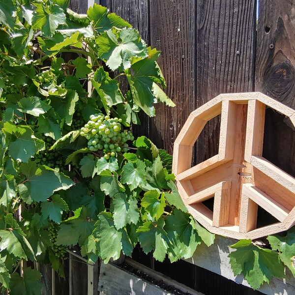 Redwood Peace Sign - Etsy