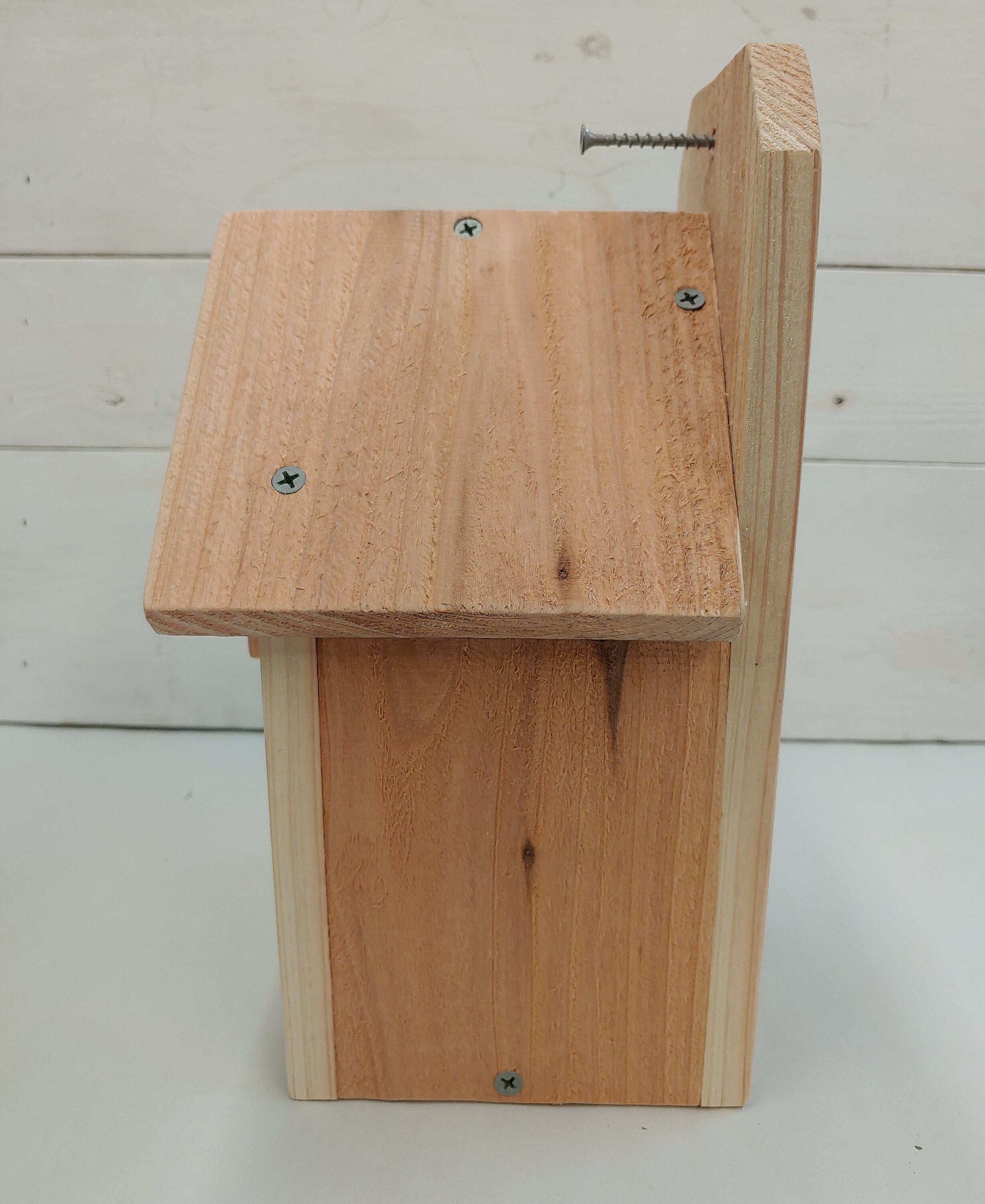 Kids or Adults DIY Bird House Kit - Etsy