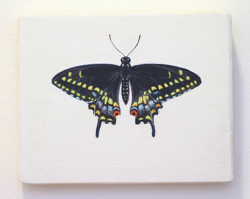Black Swallowtail Butterfly Acrylic Painting - Etsy
