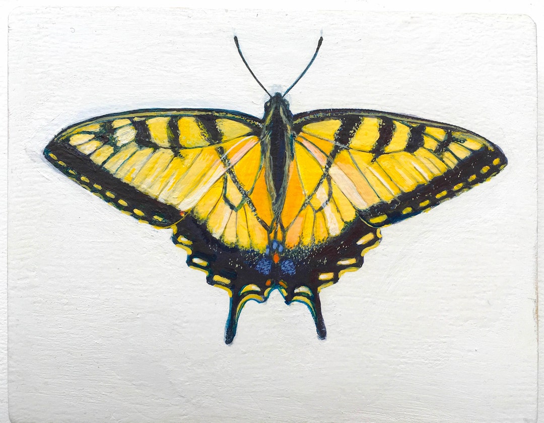 Tiger Swallowtail Butterfly Painting. Original Art. Eco- Art. Gift for ...