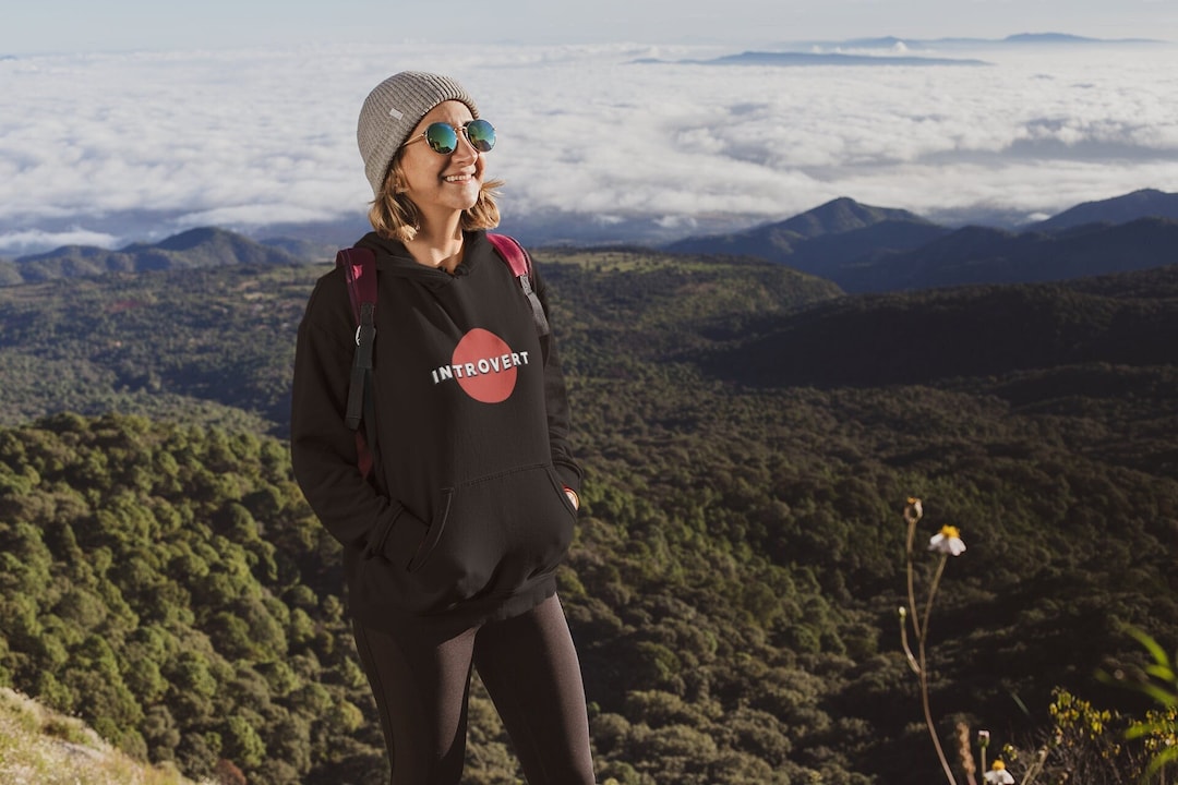 Introvert Hoodie Humorous Hoodie, Funny Homebody Hoodie, Sarcastic ...