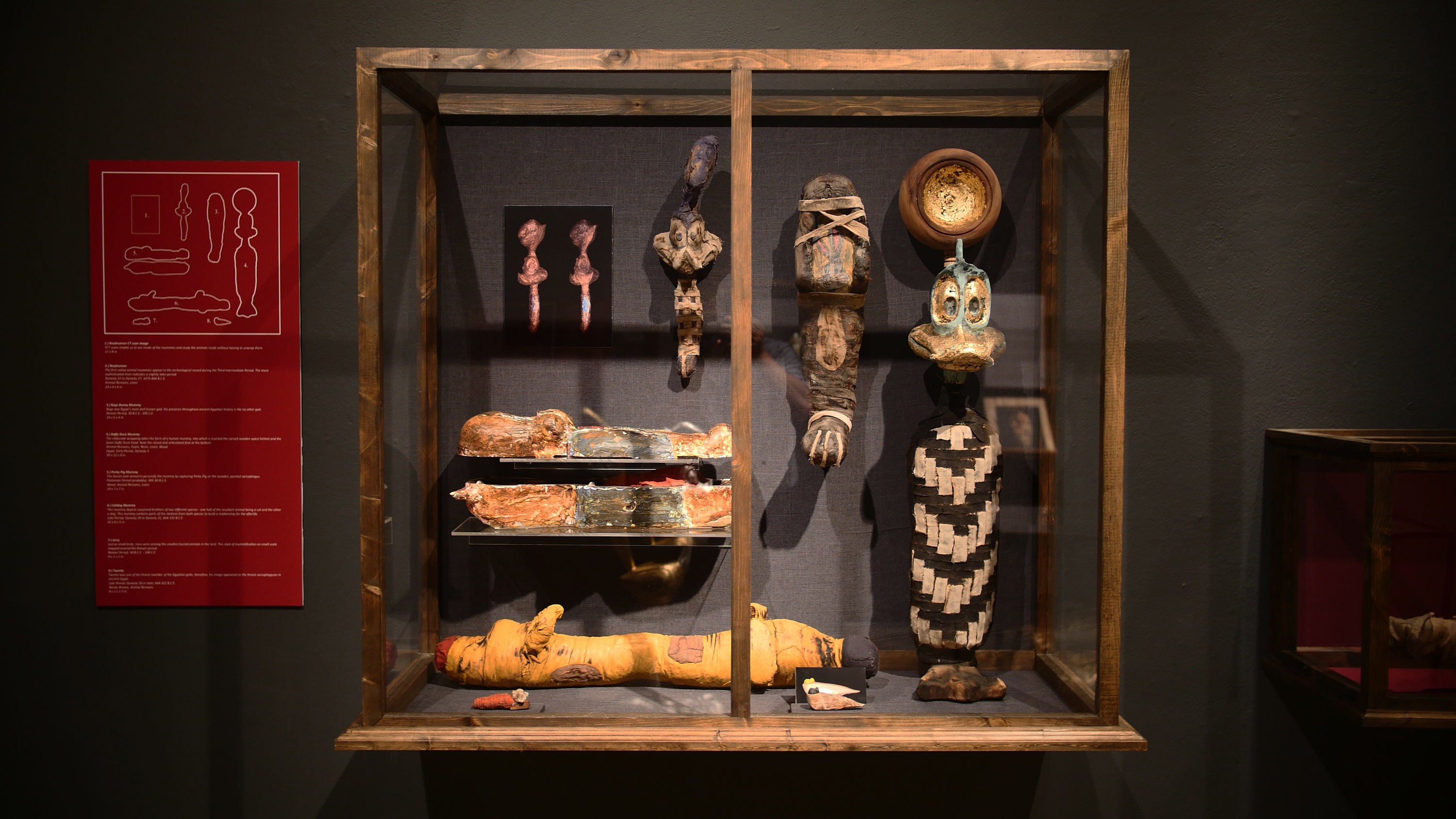 Looney Tunes Daffy Duck Egyptian Large Real Mummy Statue Art | Etsy