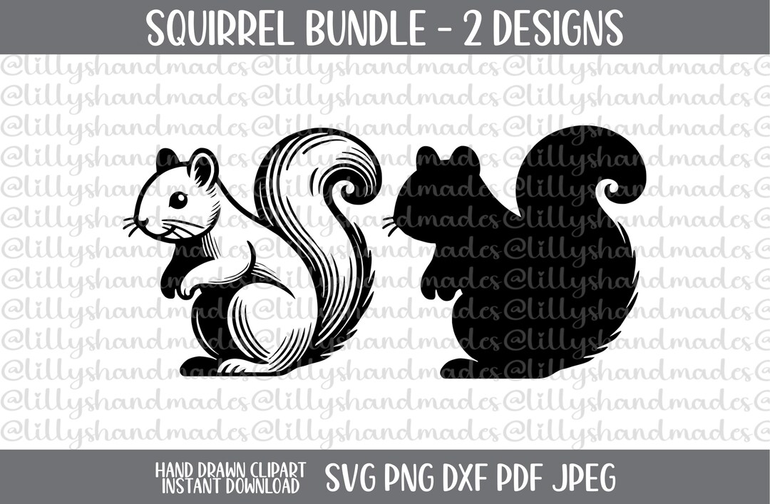 Squirrel Clipart, Squirrel Vector, Cute Squirrel Svg, Squirrels ...