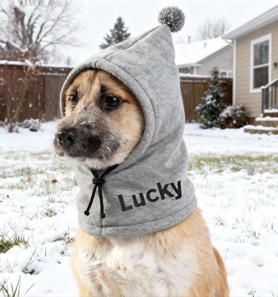 Personalized Pet Beanie, Embroidered Name Dog Hat, Winter Cat Dog Ear ...