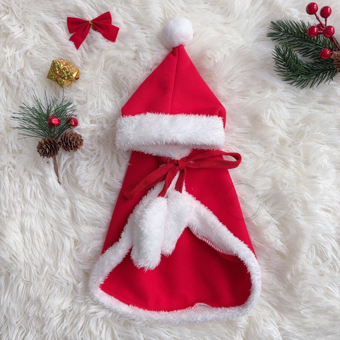 Custom Embroidered Pet Christmas Cape, Personalized Name Christmas ...