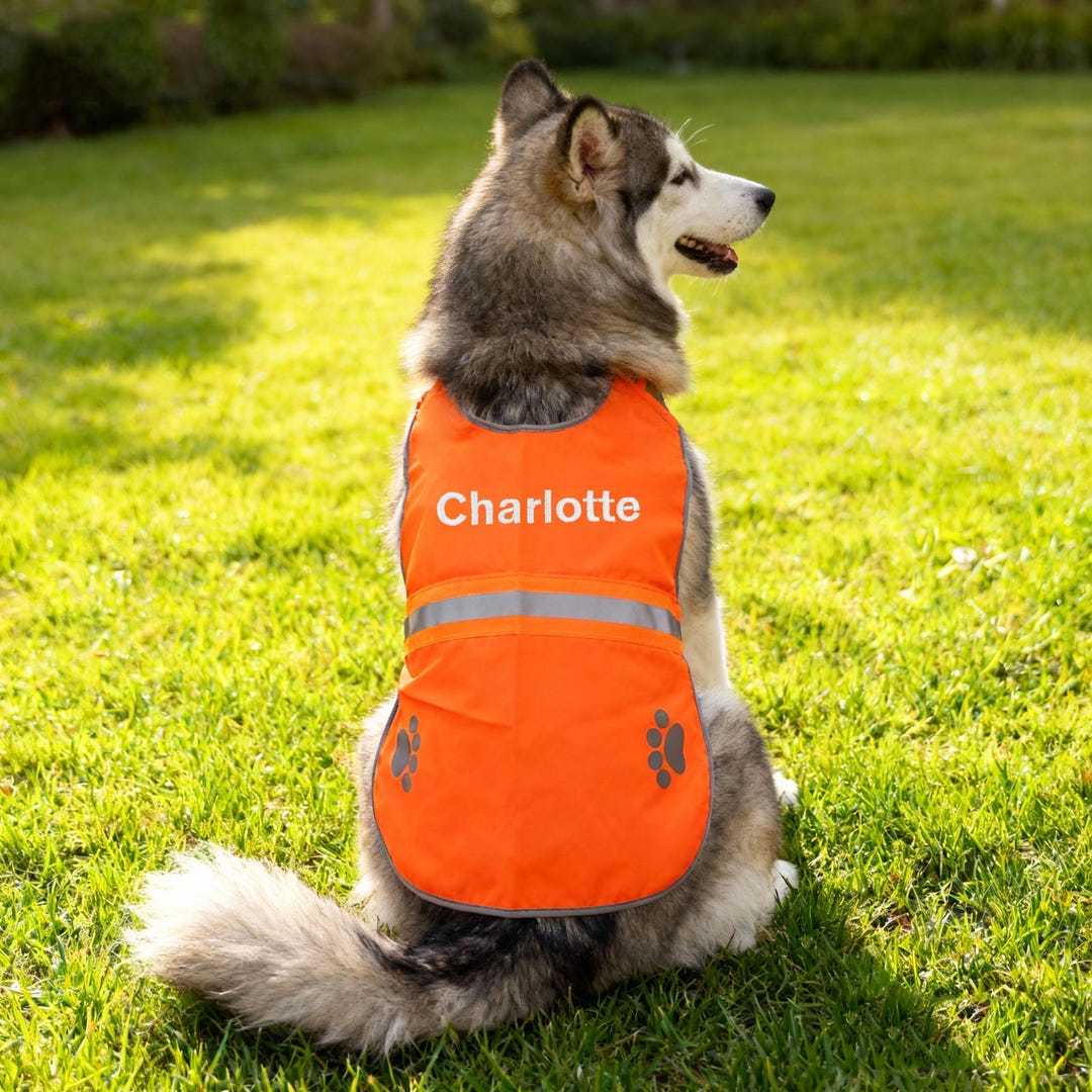 Personalized Pet Visibility Vest, Custom Embroidered Name Pet ...