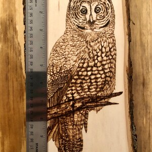 Wood Burned Great Grey Owl on Basswood - Etsy