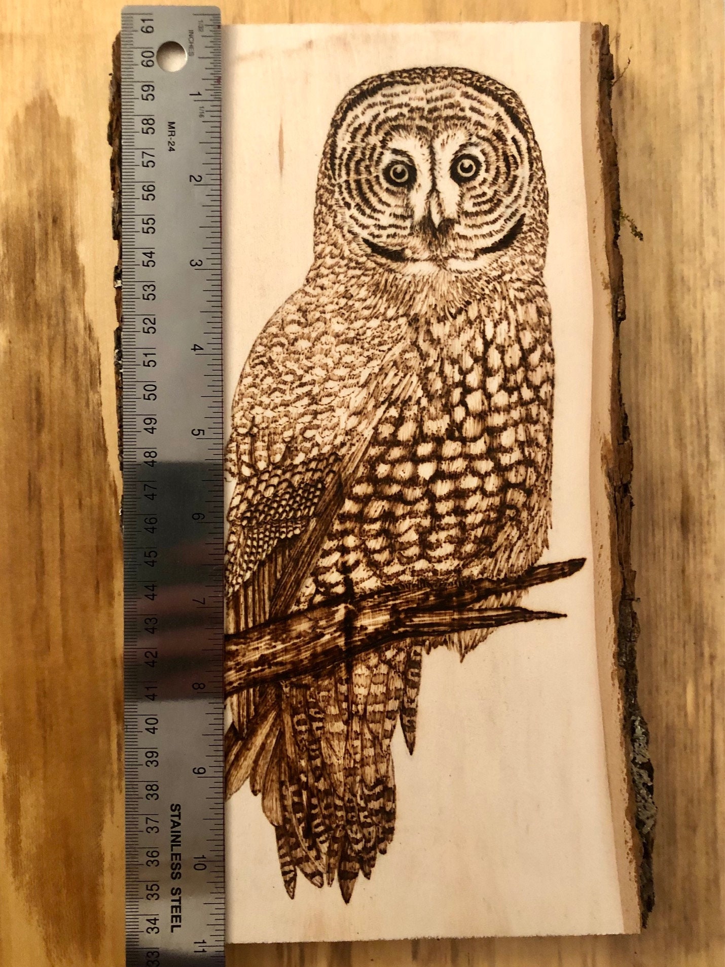 Wood Burned Great Grey Owl on Basswood - Etsy