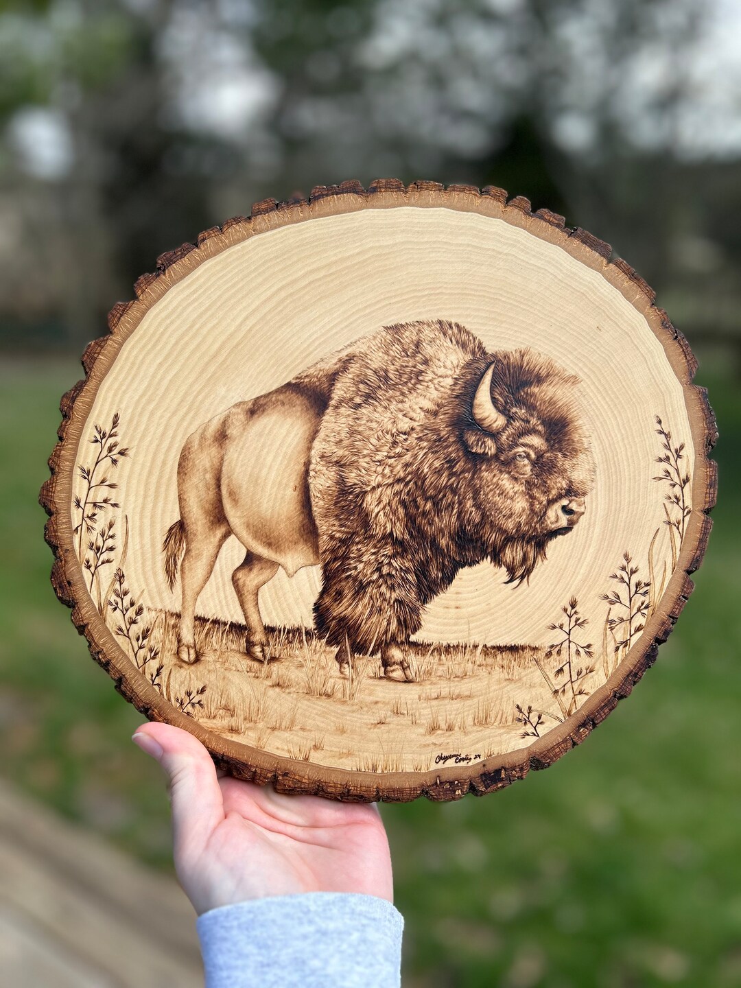 Wood Burned Bison and Sweetgrass Art on Basswood. Pyrography Art ...