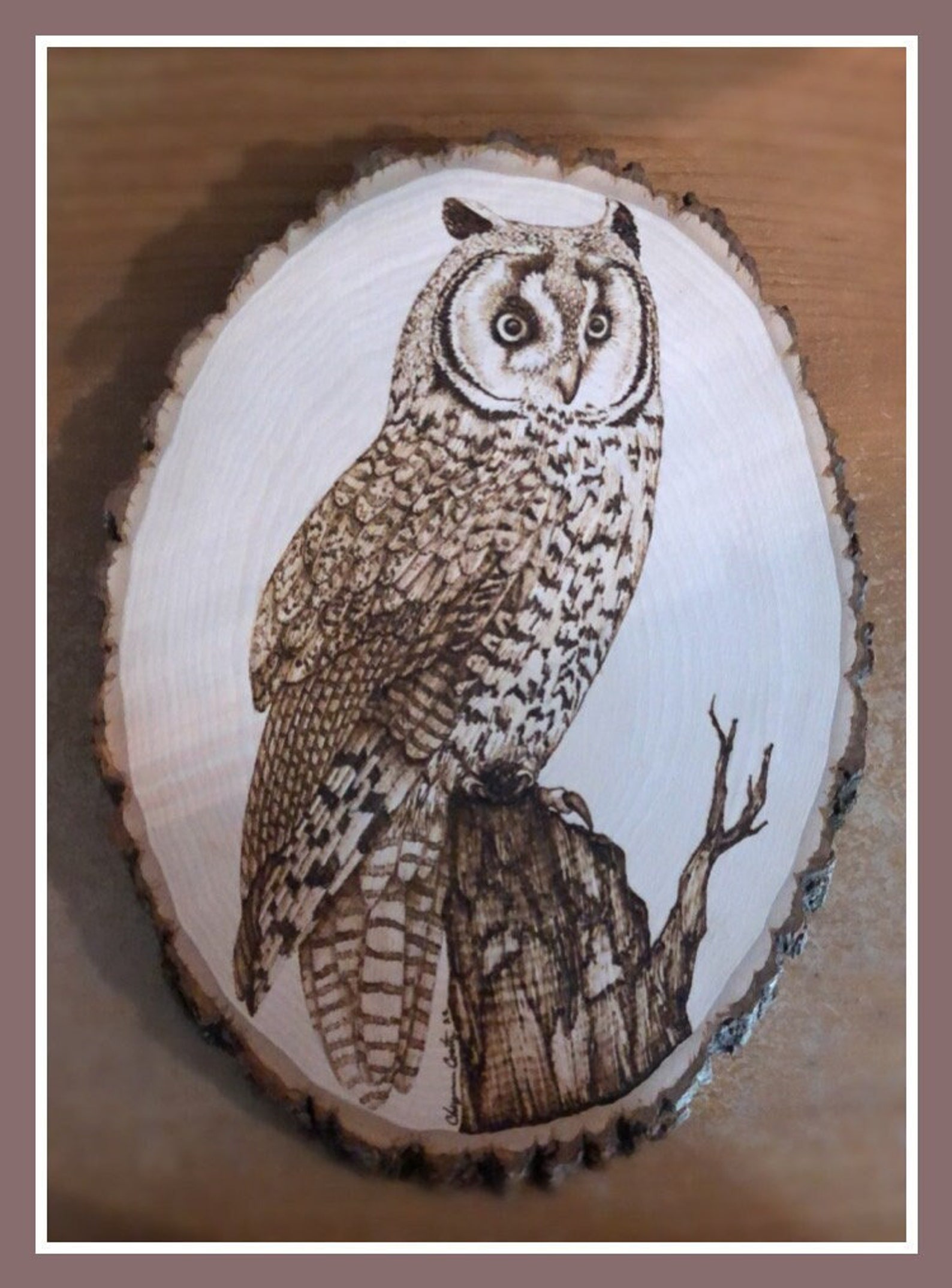 Wood Burned Long Eared Owl on Basswood. Long Eared Owl. Bird Artwork ...