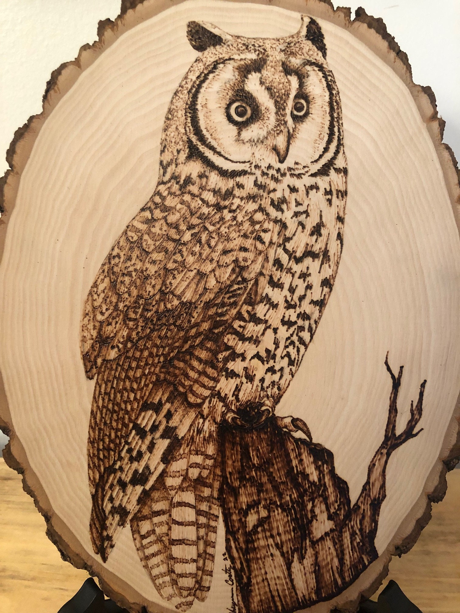 Wood Burned Long Eared Owl on Basswood - Etsy