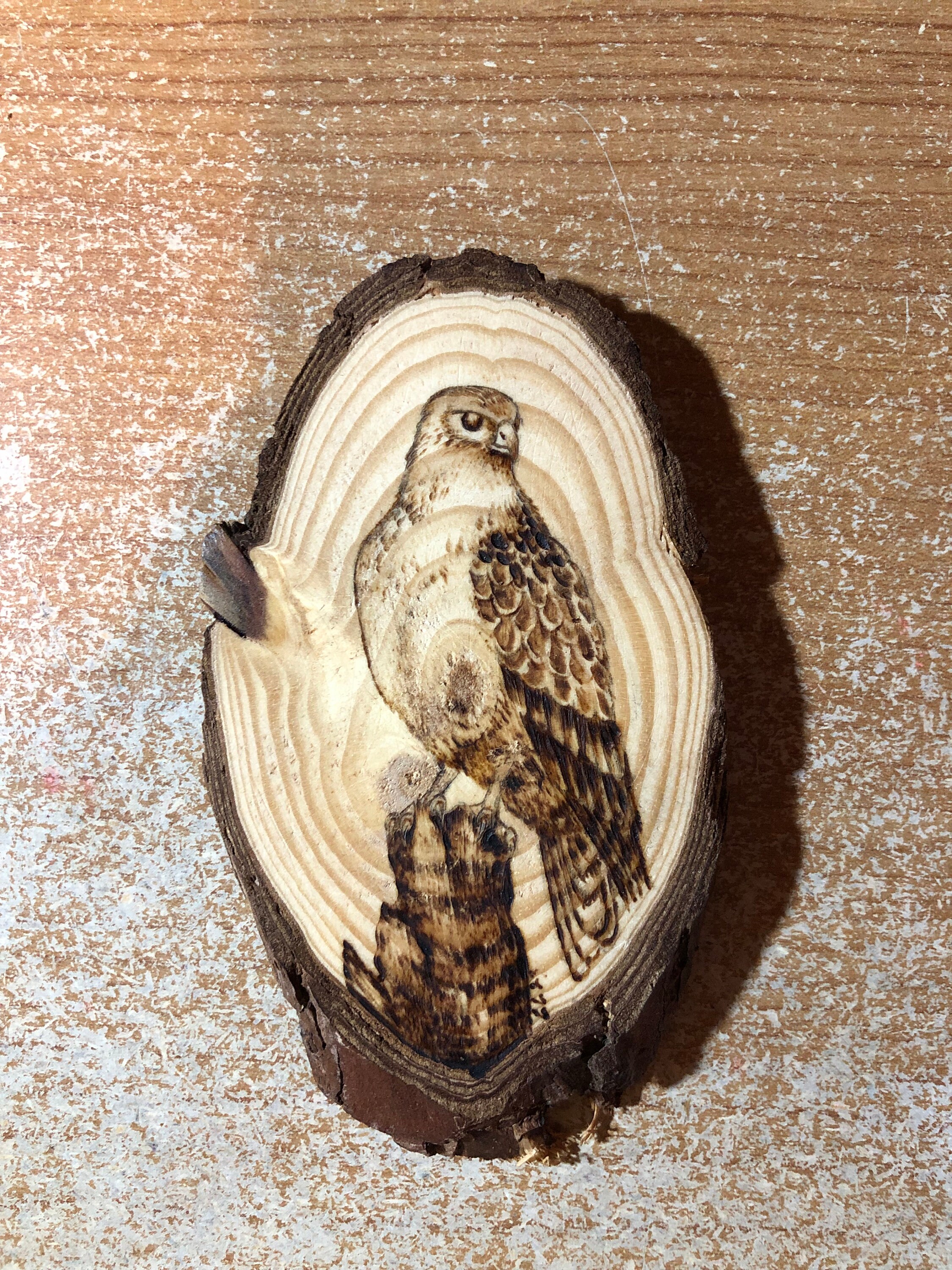 Wood Burned Hawk Portrait on Small Wood Slice. Wood - Etsy