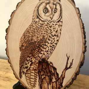 Wood Burned Long Eared Owl on Basswood. Long Eared Owl. Bird Artwork ...