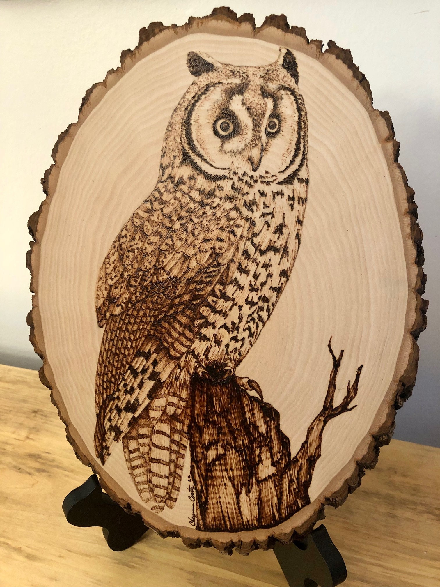 Wood Burned Long Eared Owl on Basswood - Etsy