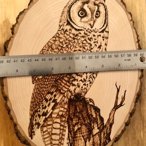 Wood Burned Long Eared Owl on Basswood. Long Eared Owl. Bird Artwork ...
