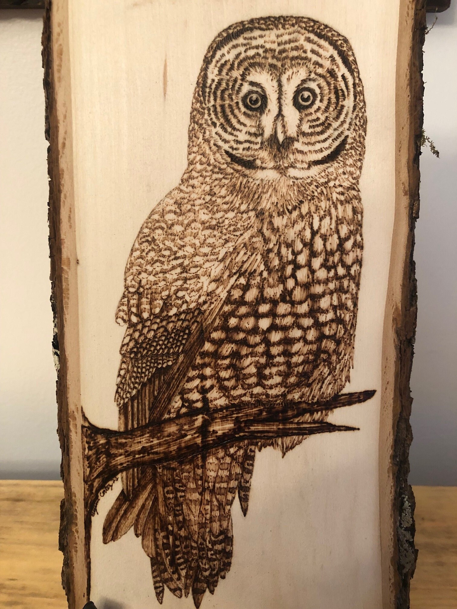 Wood Burned Great Grey Owl on Basswood - Etsy