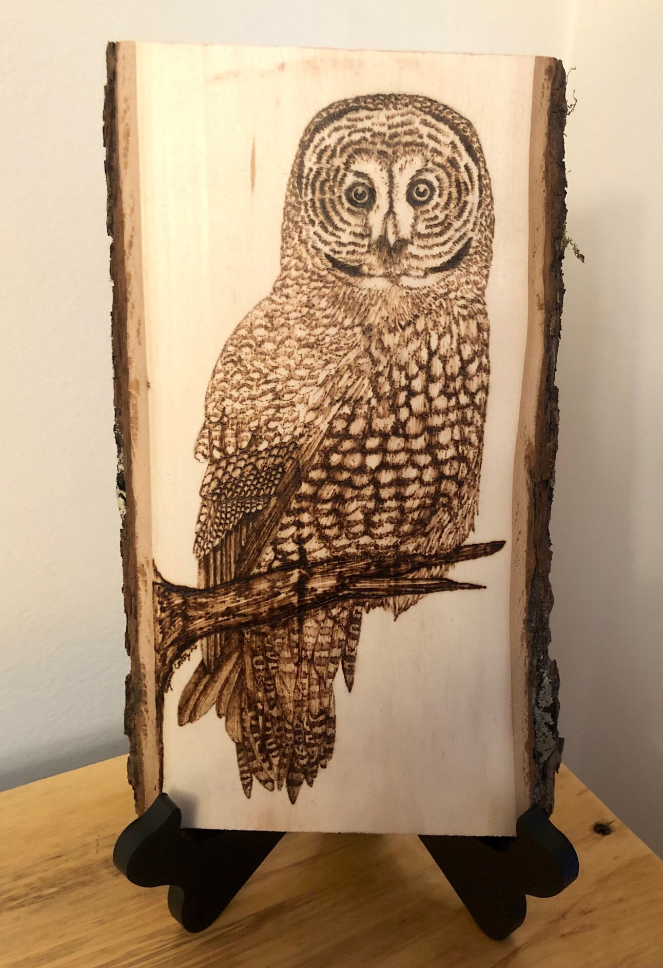 Wood Burned Great Grey Owl on Basswood - Etsy