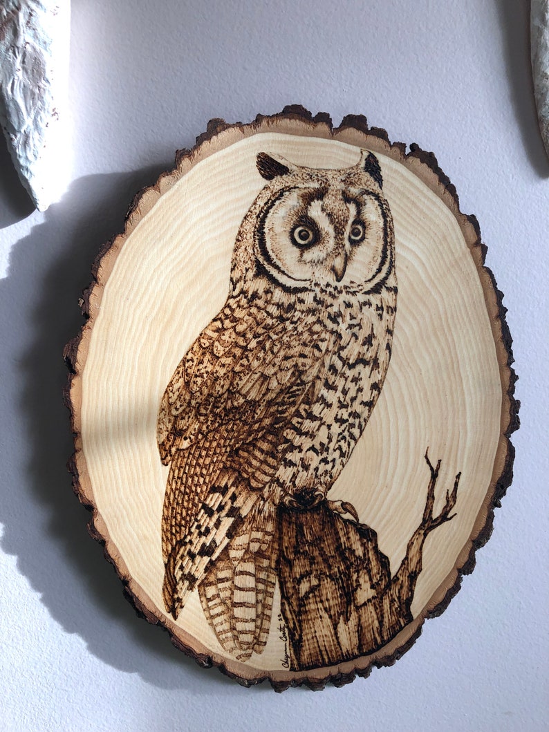 Wood Burned Long Eared Owl on Basswood - Etsy