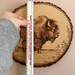Wood Burned Bison and Sweetgrass Art on Basswood. Pyrography Art ...