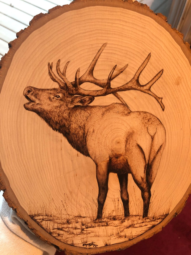 Wood Burned Elk Portrait on Basswood Round. Animal Pyrography Art - Etsy
