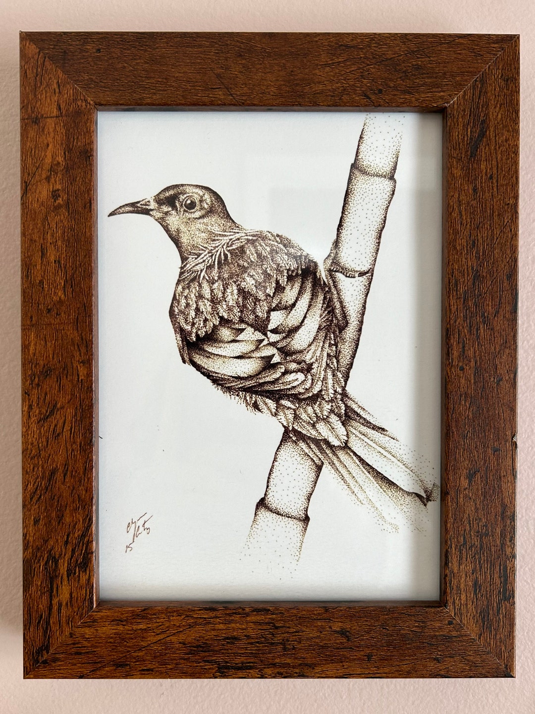 New Zealand Tui Bird Print. Giclee Print, Fine Art Print, Bird Print ...