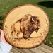 Wood Burned Bison and Sweetgrass Art on Basswood. Pyrography Art ...