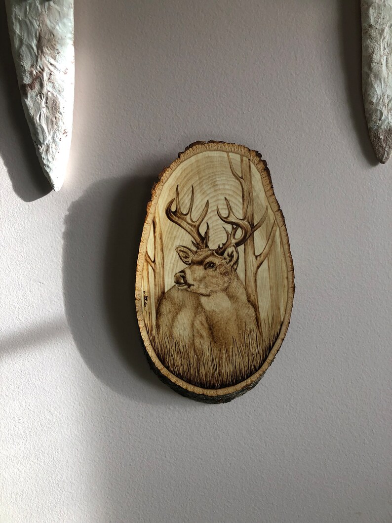 Wood Burned White Tailed Deer Portrait on Basswood - Etsy