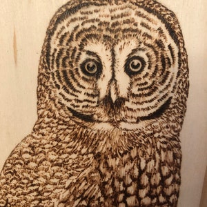 Wood Burned Great Grey Owl on Basswood - Etsy