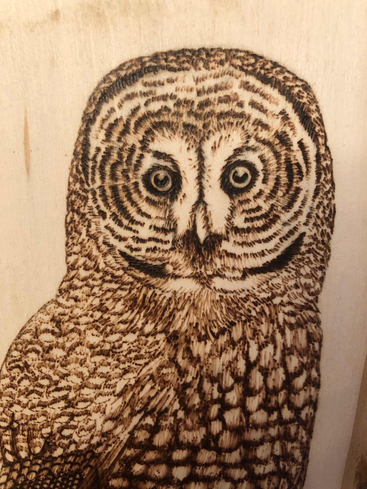 Wood Burned Great Grey Owl on Basswood - Etsy
