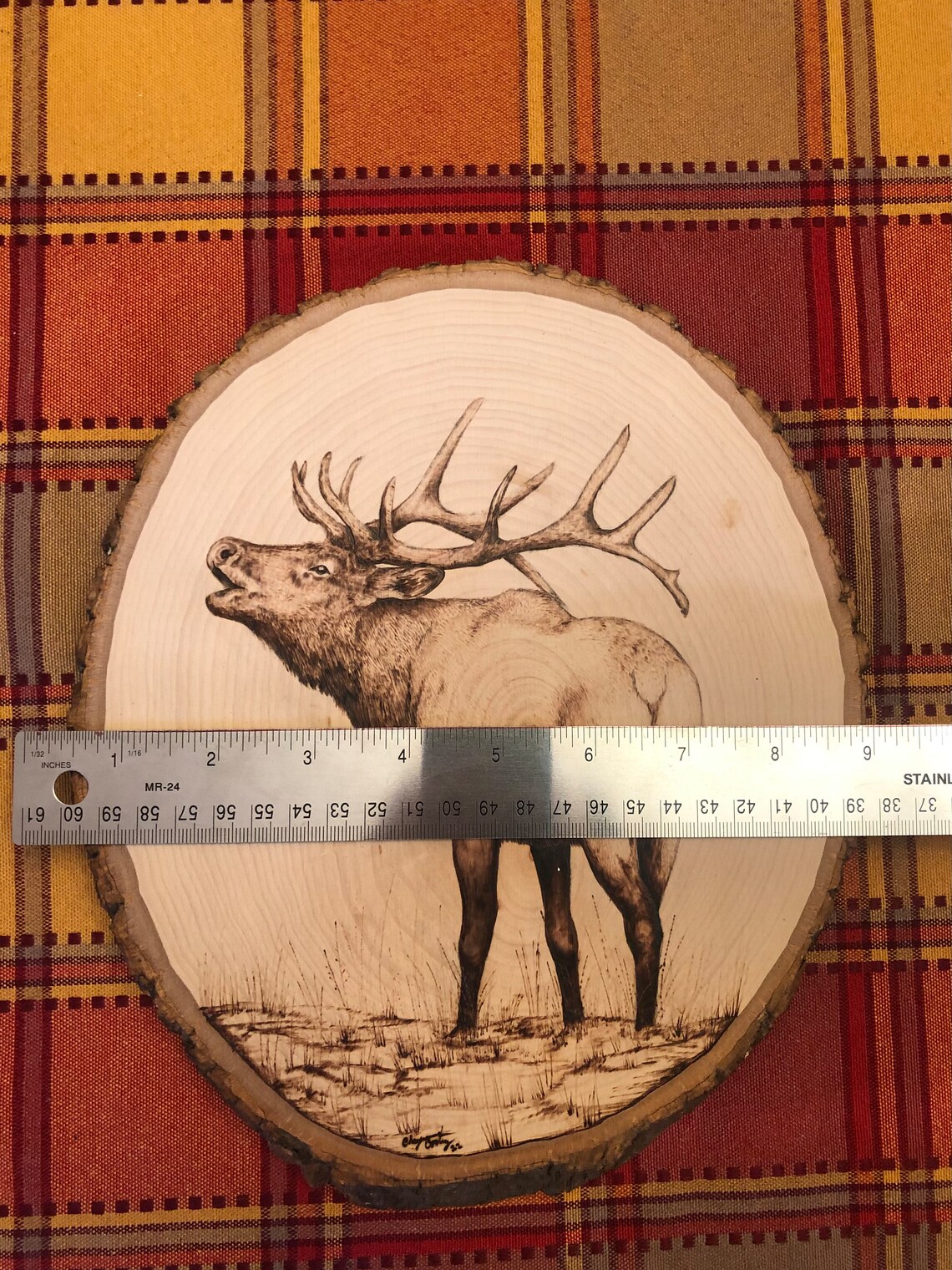 Wood Burned Elk Portrait on Basswood Round. Animal Pyrography Art - Etsy