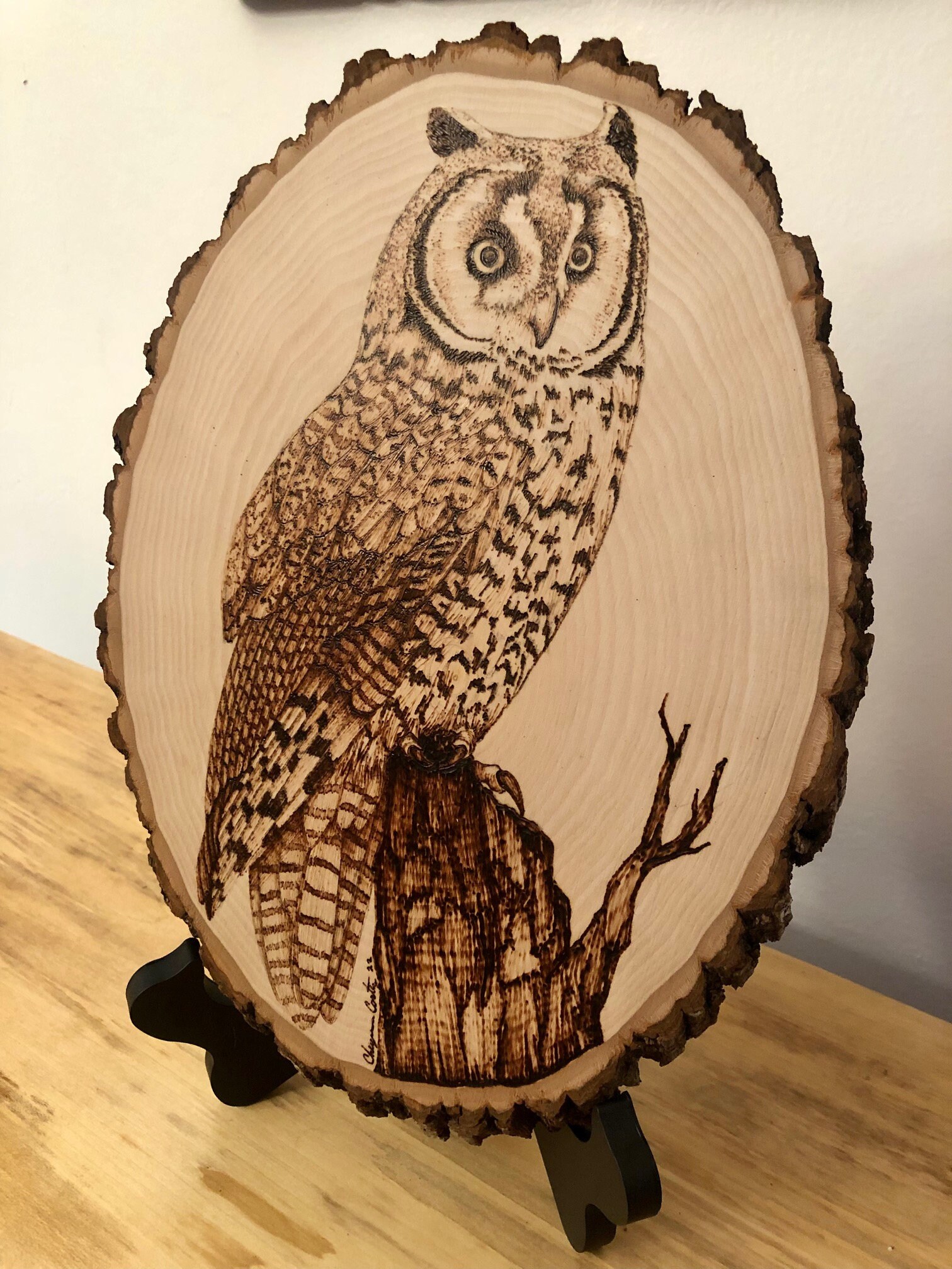 Wood Burned Long Eared Owl on Basswood - Etsy